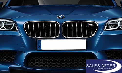 SalesAfter - The Online Shop - BMW 5 series F10 M5 Front grille chrome